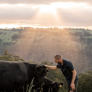 Direct from the Farmer Bovaer Free - mRNA Free