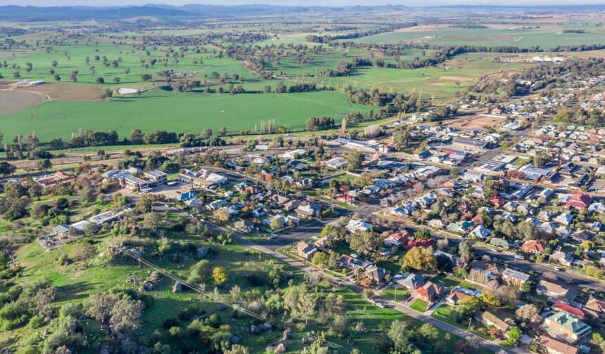 Cowra Lambs - Farmer Butcher