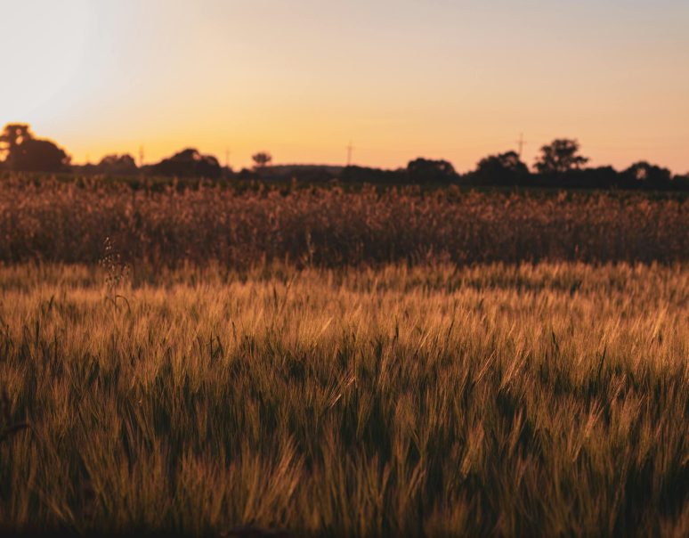 Delivery Dates - Farmer Butcher