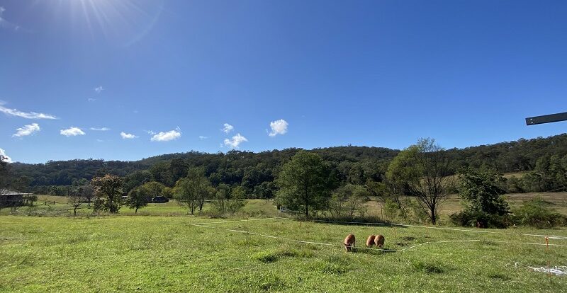 hillside food - Farmer Butcher
